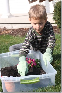 Preschool Gardening Unit